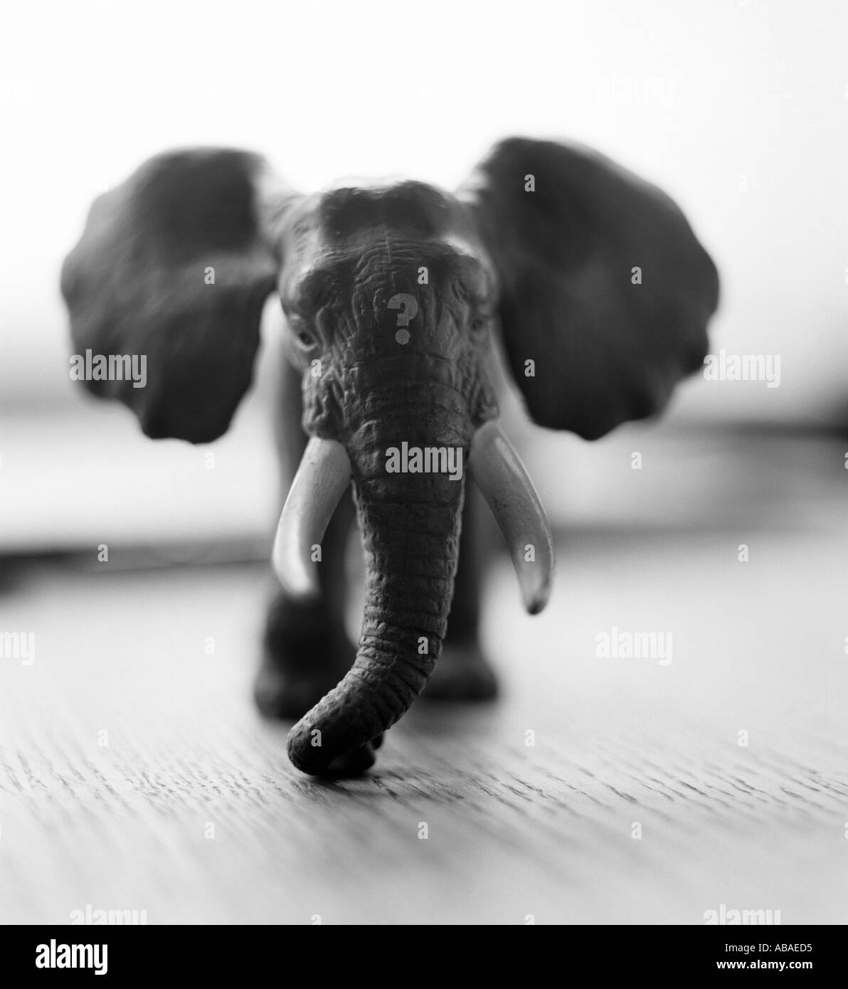 Elephant typography hi-res stock photography and images - Alamy