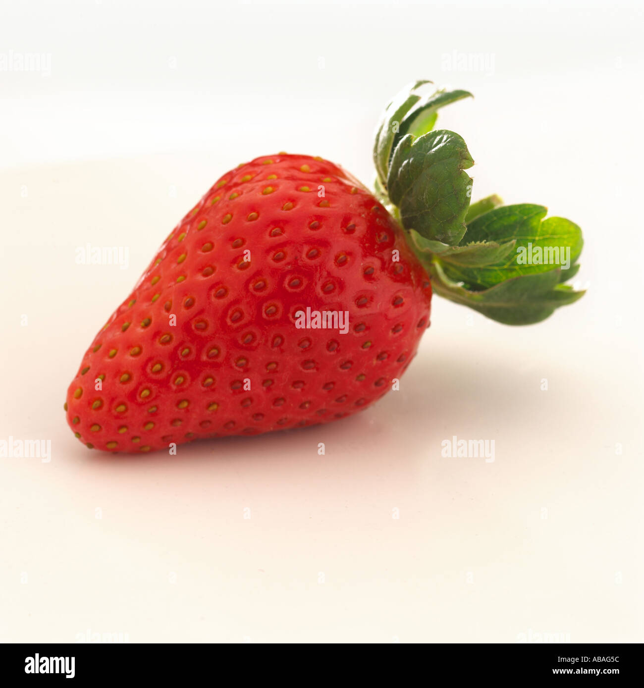 Single strawberry Keywords fruit still life soft cut out Stock Photo ...