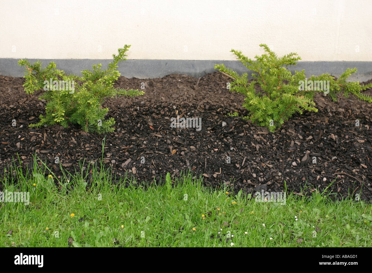 Soil cover hi-res stock photography and images - Alamy
