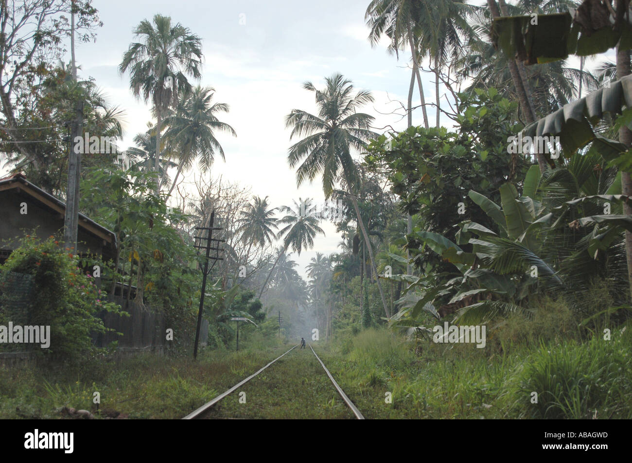 Train Track in the Jungle - Sri Lanka Stock Photo - Alamy
