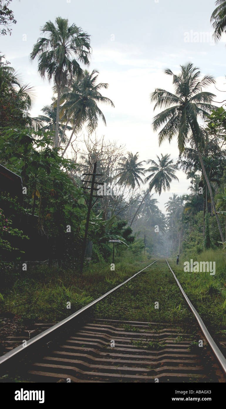 Railway tracks in jungle hi-res stock photography and images - Alamy