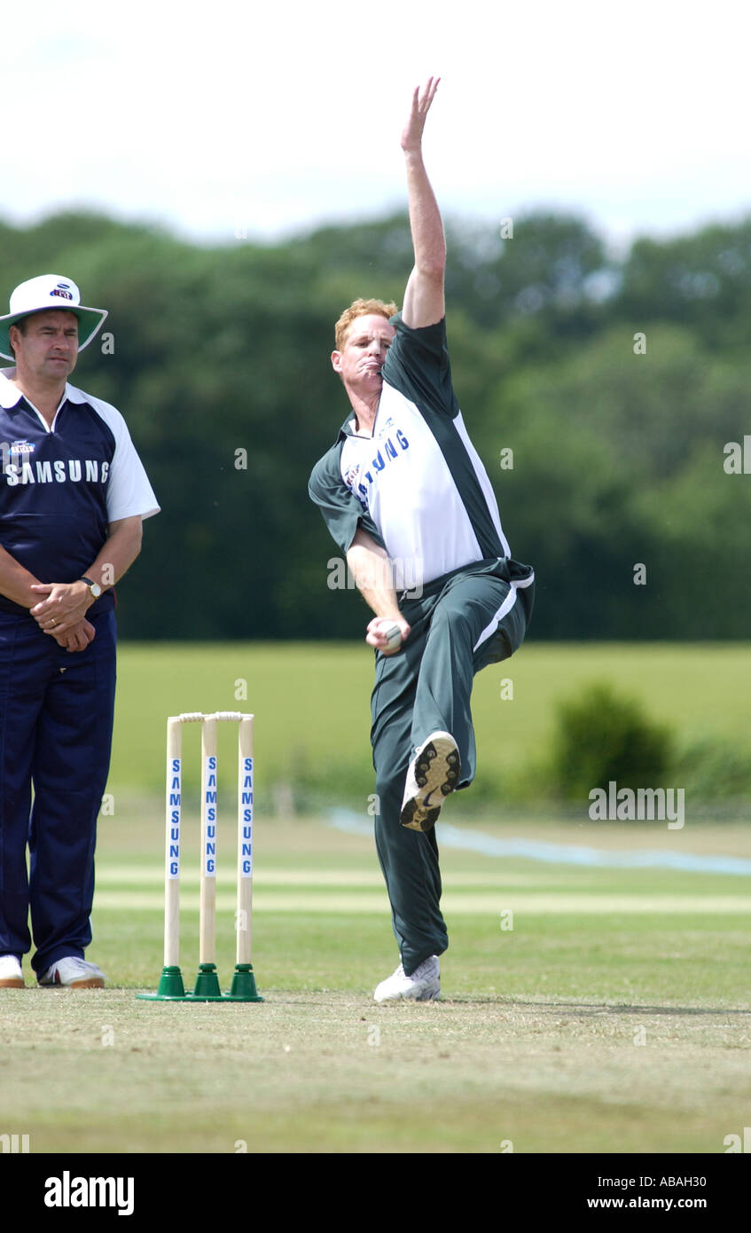 Cricket pollock hi-res stock photography and images - Alamy