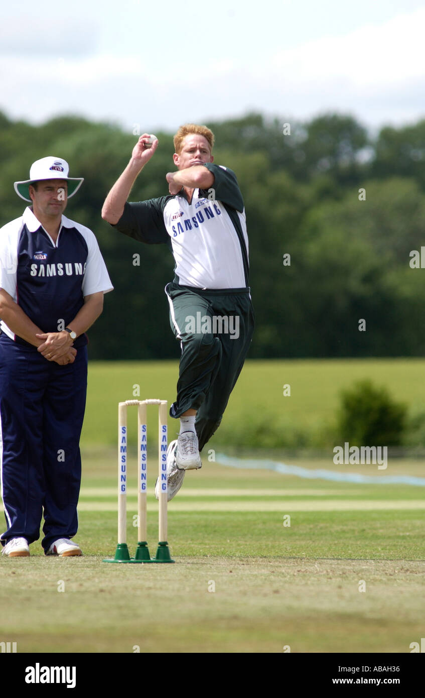 Cricket pollock hi-res stock photography and images - Alamy