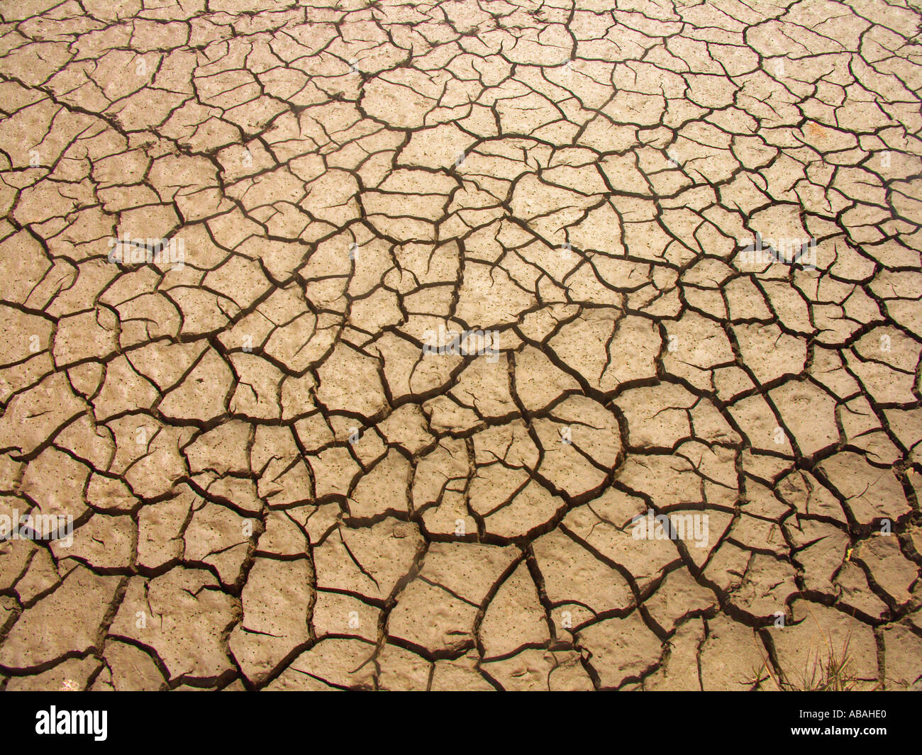 Pattern formed by dried mud Stock Photo - Alamy