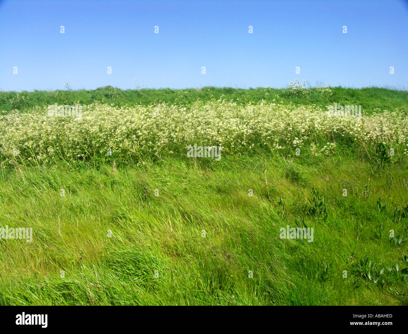 Simple green bank design hi-res stock photography and images - Alamy
