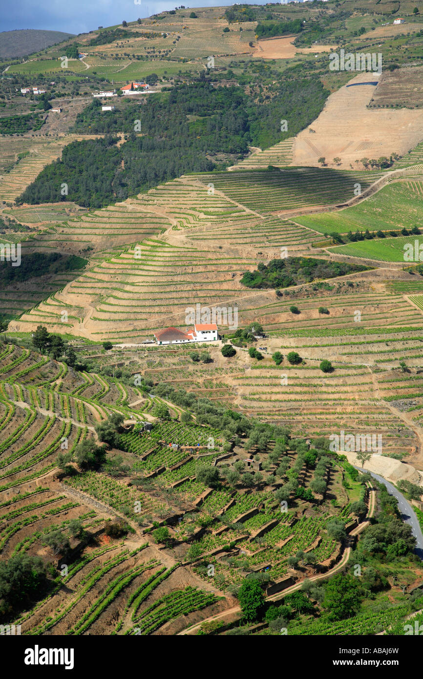 Portugal Douro Douro Valley wineyards Stock Photo - Alamy