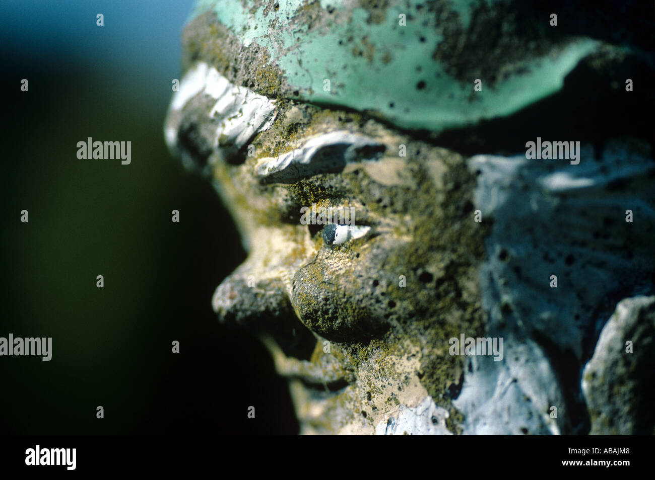 Face of a stone gnome Stock Photo - Alamy