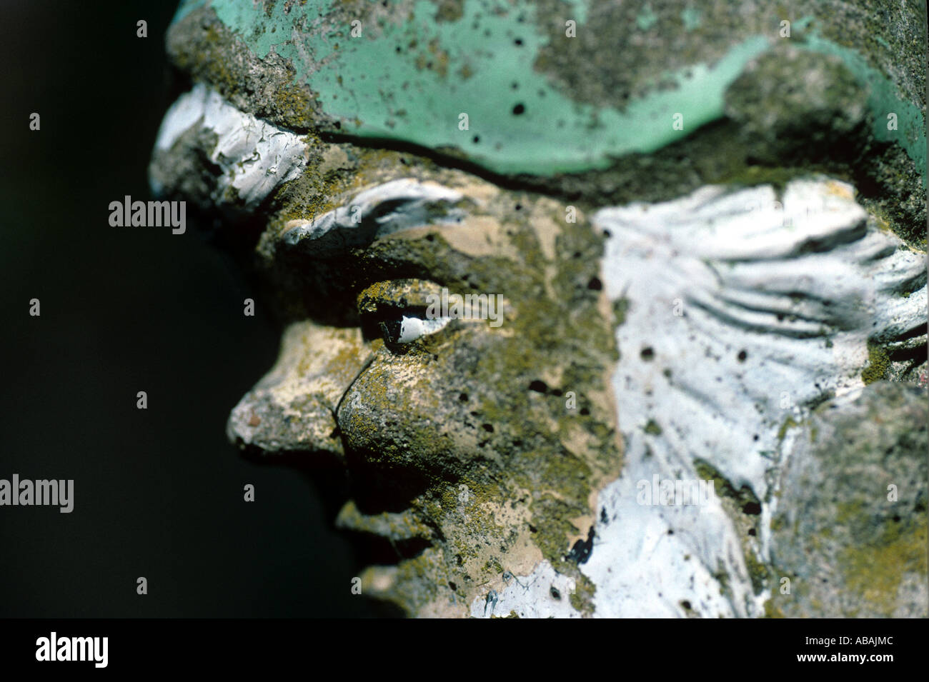 Face of a Garden Gnome Stock Photo - Alamy