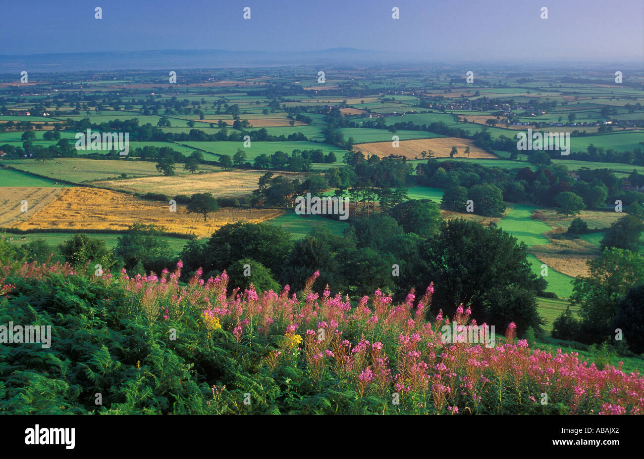 Severn Vale Gloucestershire England UK Stock Photo - Alamy
