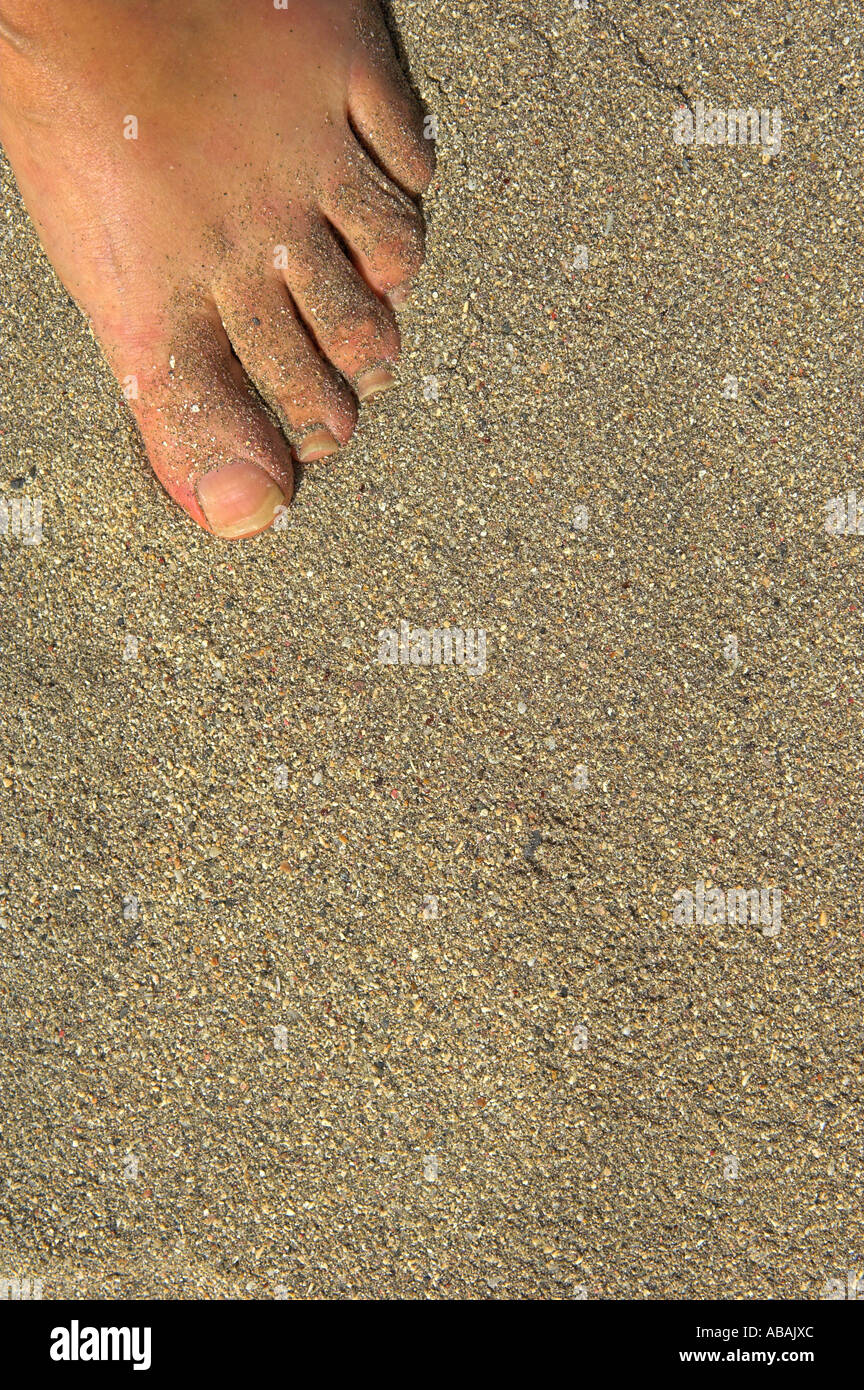 Womans sandy toes on sand beach with tiny fragments of shells making up ...