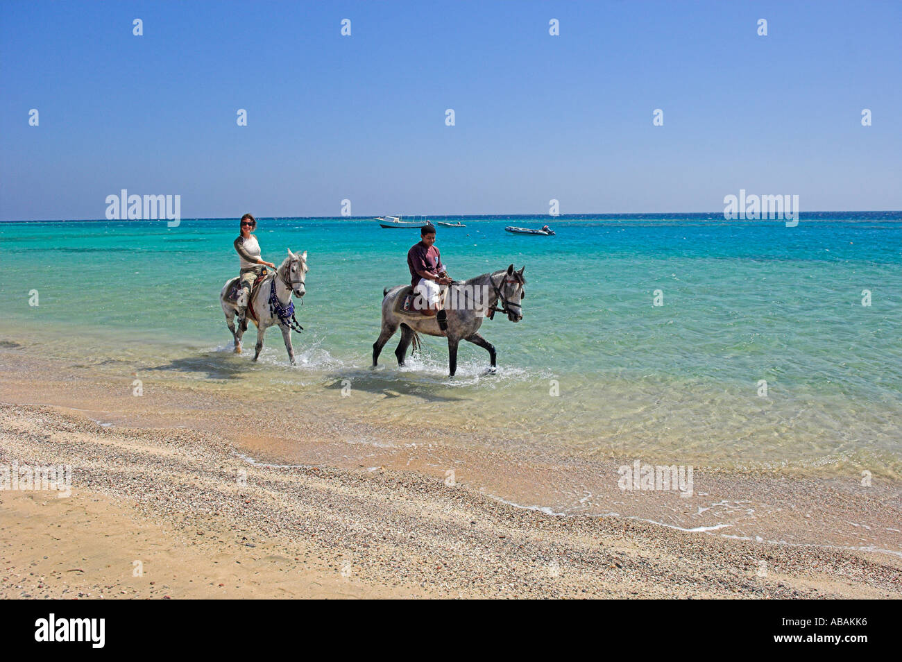 Hot horse shore hi-res stock photography and images - Alamy