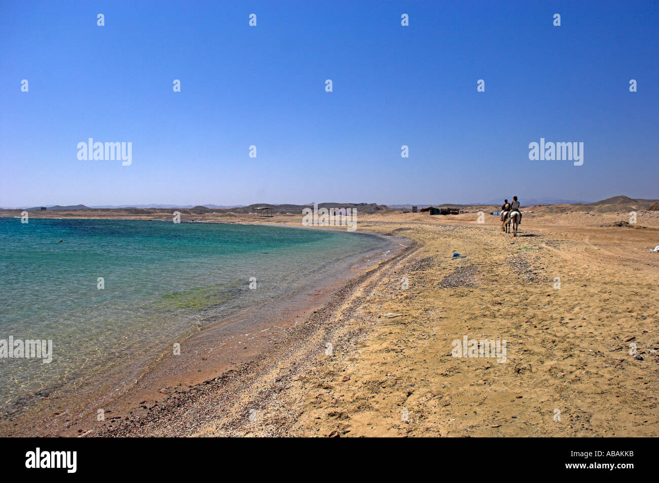 Two horseback riders moving away along Tondoba beach Red Sea Egypt with ...