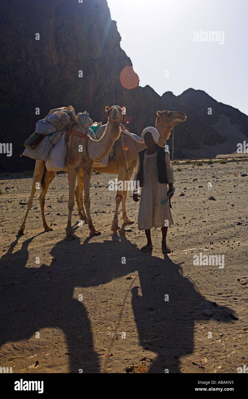 Wadi el gemal hi-res stock photography and images - Alamy