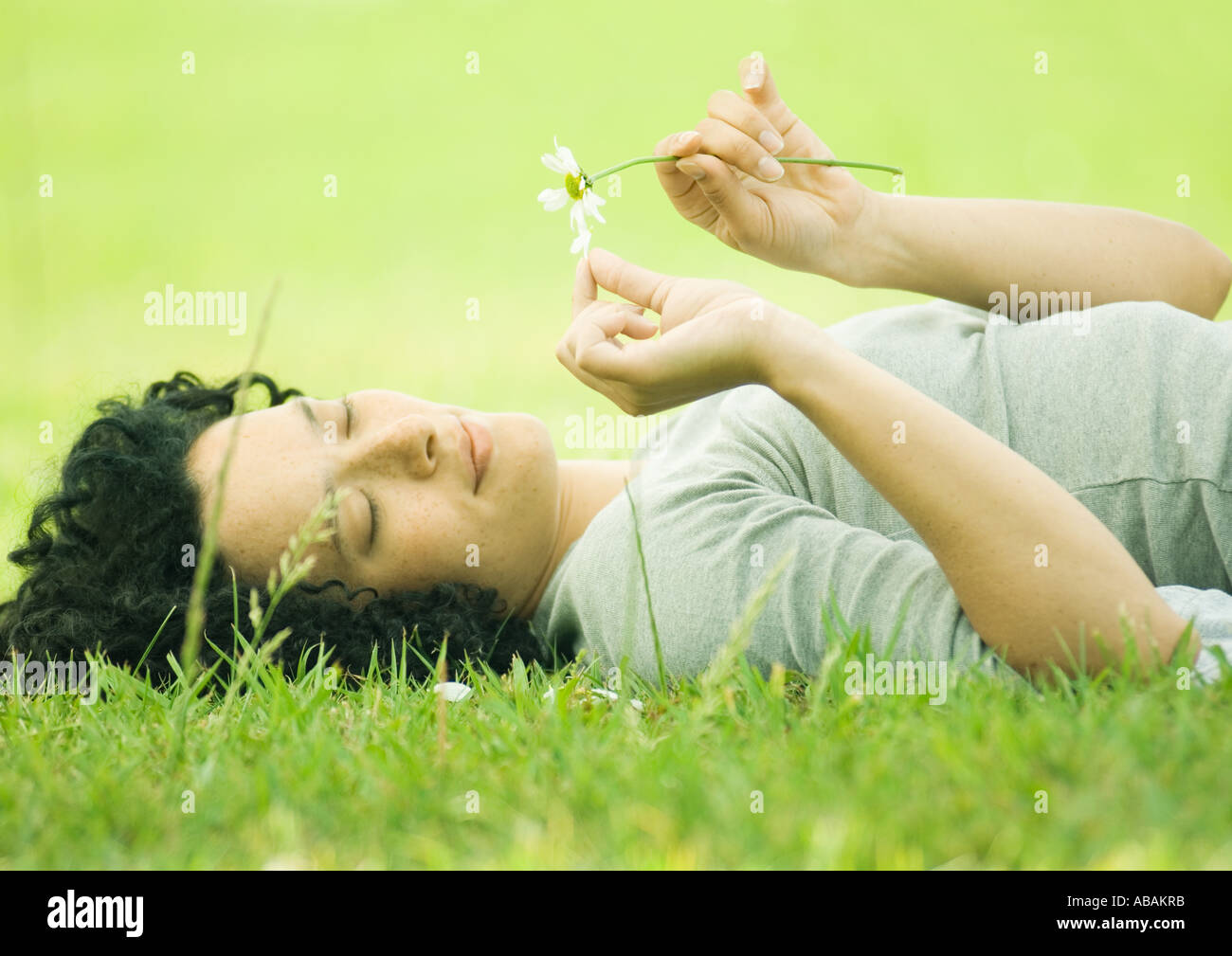 Plucking the daisy hi-res stock photography and images - Alamy