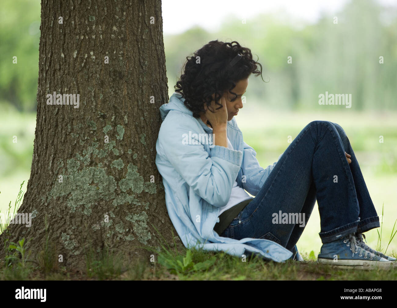 Curly tree trunks hi-res stock photography and images - Alamy