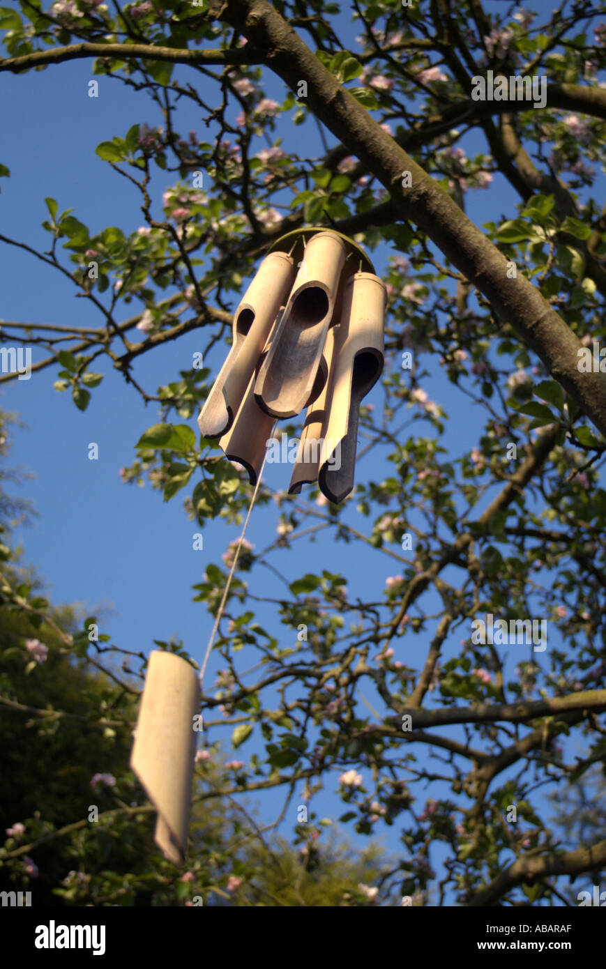 bamboo windchimes hanging in garden Stock Photo - Alamy
