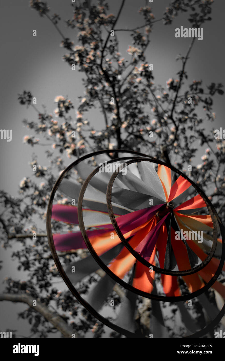 windmill in tree Stock Photo - Alamy