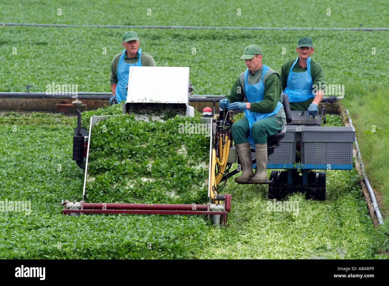 Farm workers england hi-res stock photography and images - Alamy