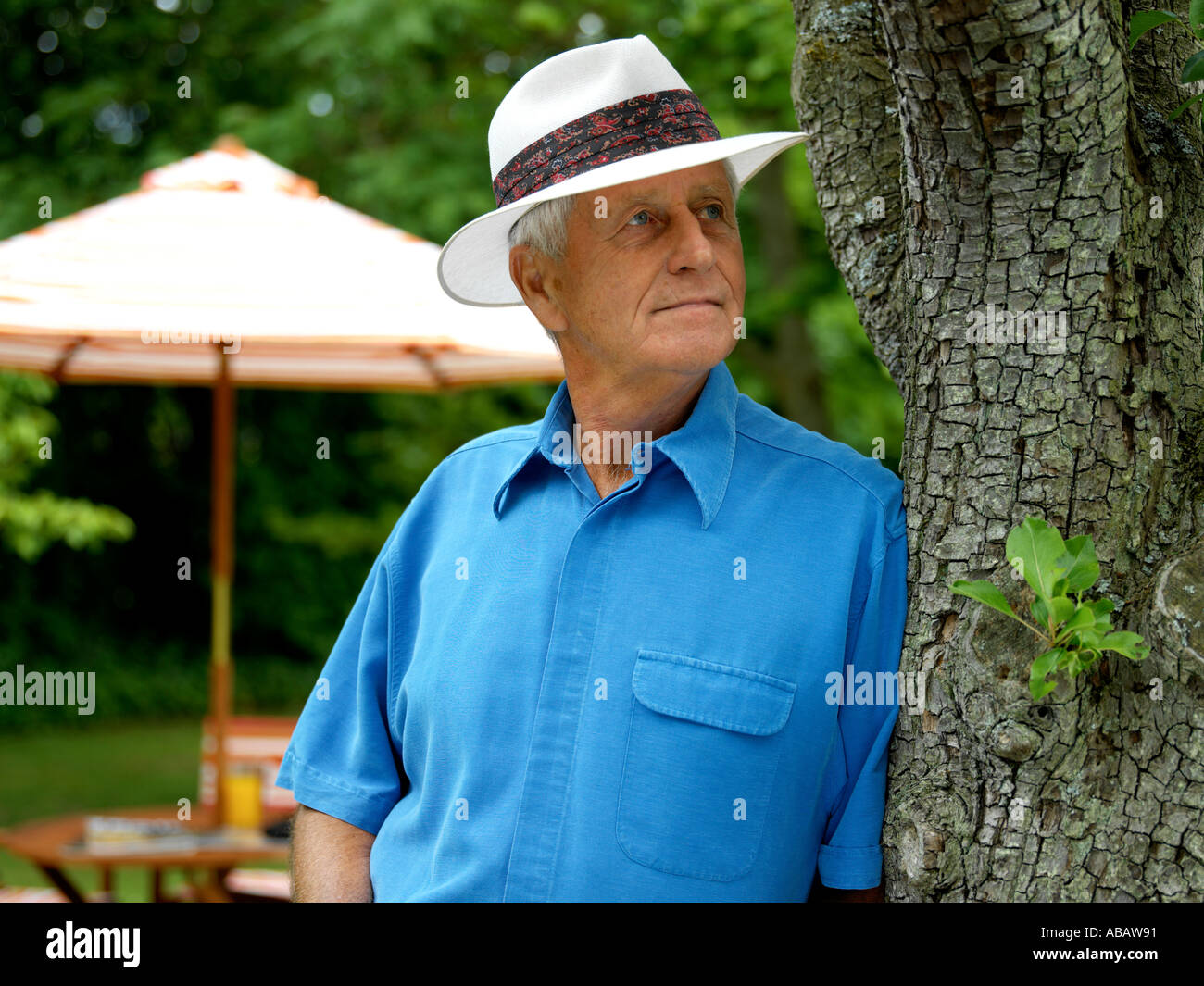 Bert Newsome 0256 Stock Photo - Alamy