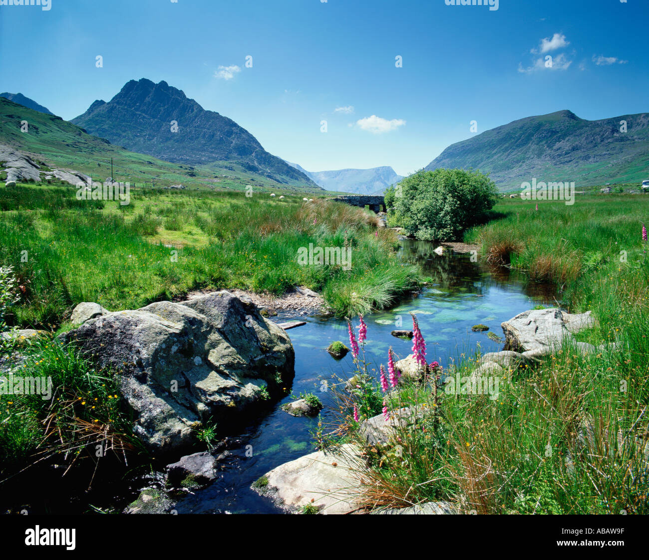 Llugwy hi-res stock photography and images - Alamy