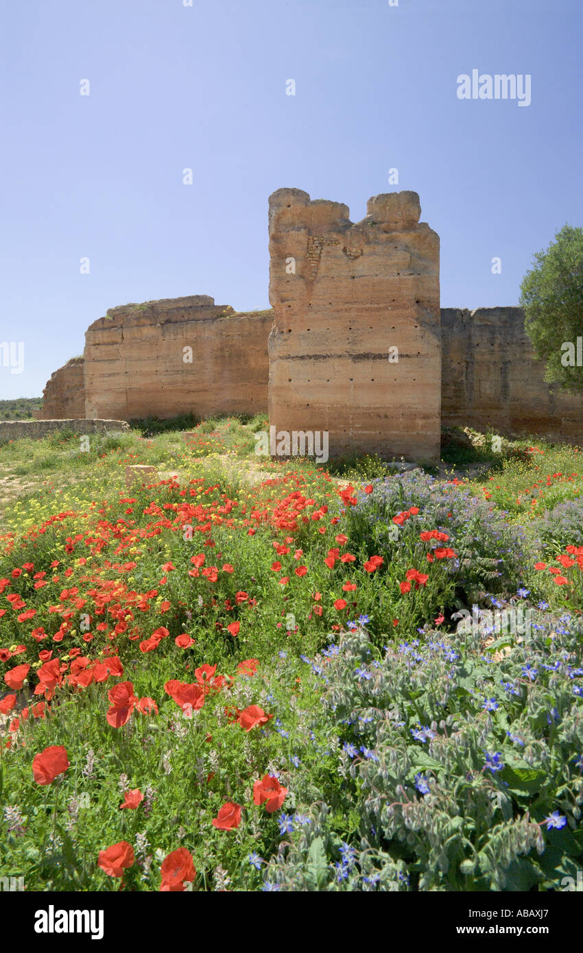 Castelo paderne hi-res stock photography and images - Alamy