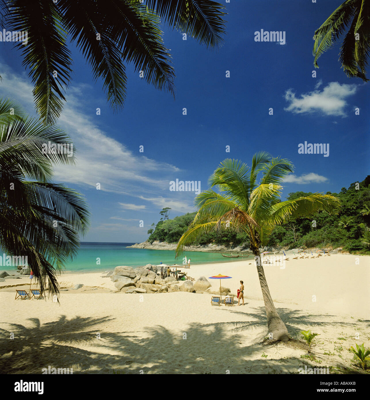 Phuket, Small Cove with Palms, Thailand Stock Photo - Alamy