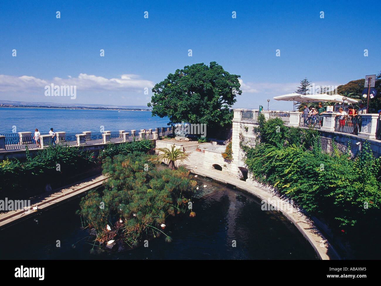 Spring of arethusa hi-res stock photography and images - Alamy