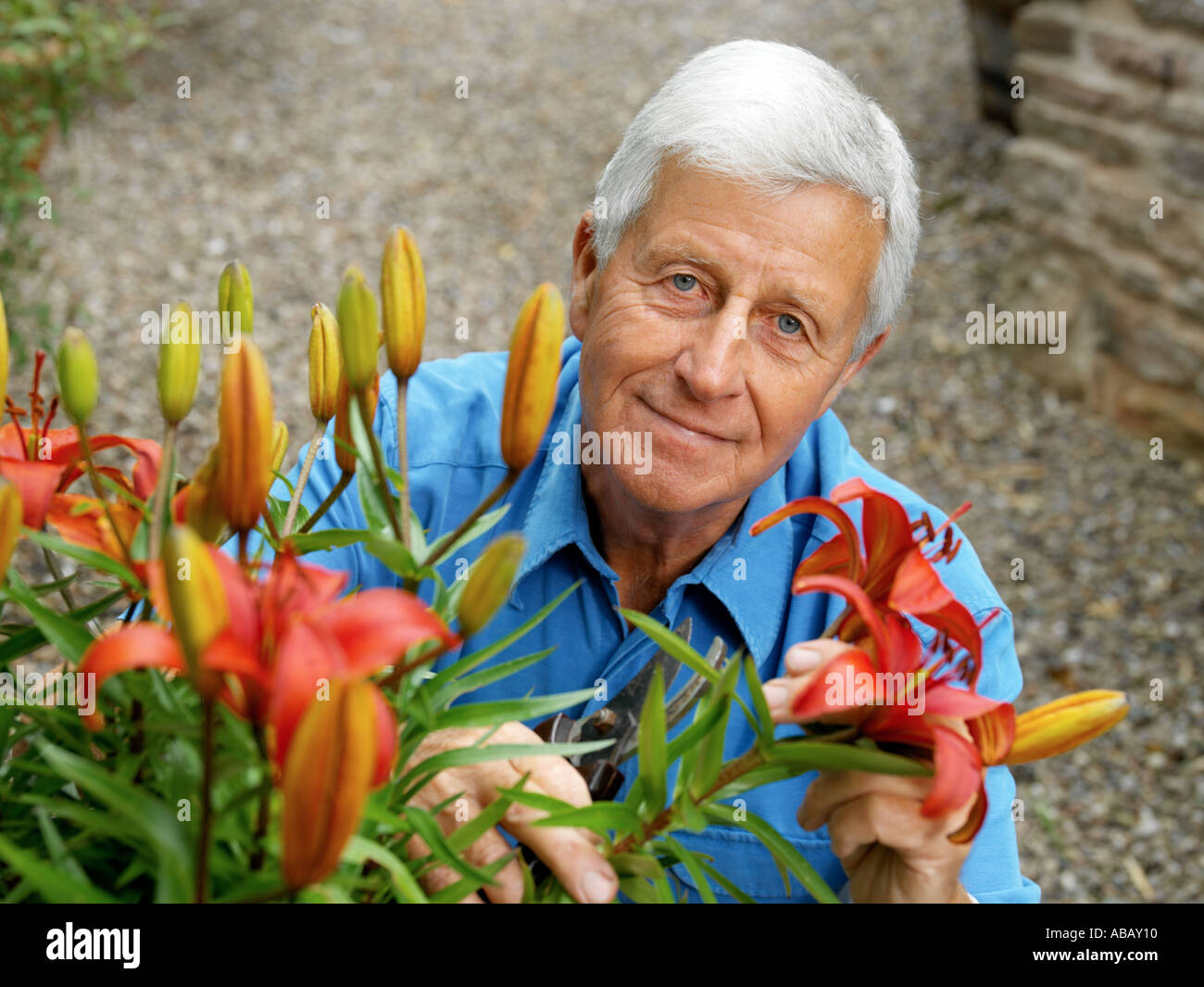 Bert Newsome 0196 Stock Photo - Alamy