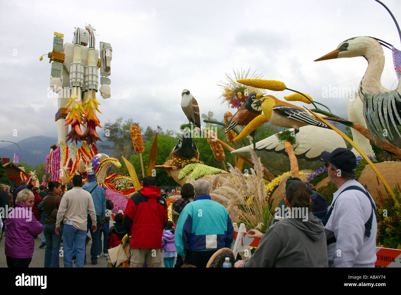 Tournament of Roses the 116th Rose Parade 91st Rose Bowl Game ...