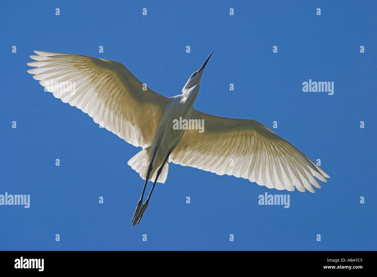 Axios river hi-res stock photography and images - Alamy