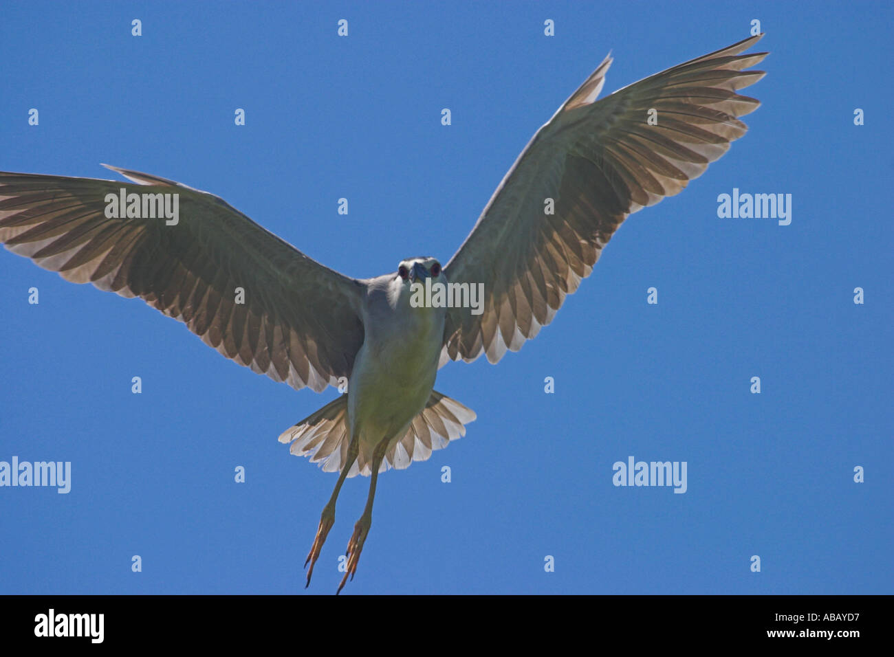 Axios Delta High Resolution Stock Photography and Images - Alamy