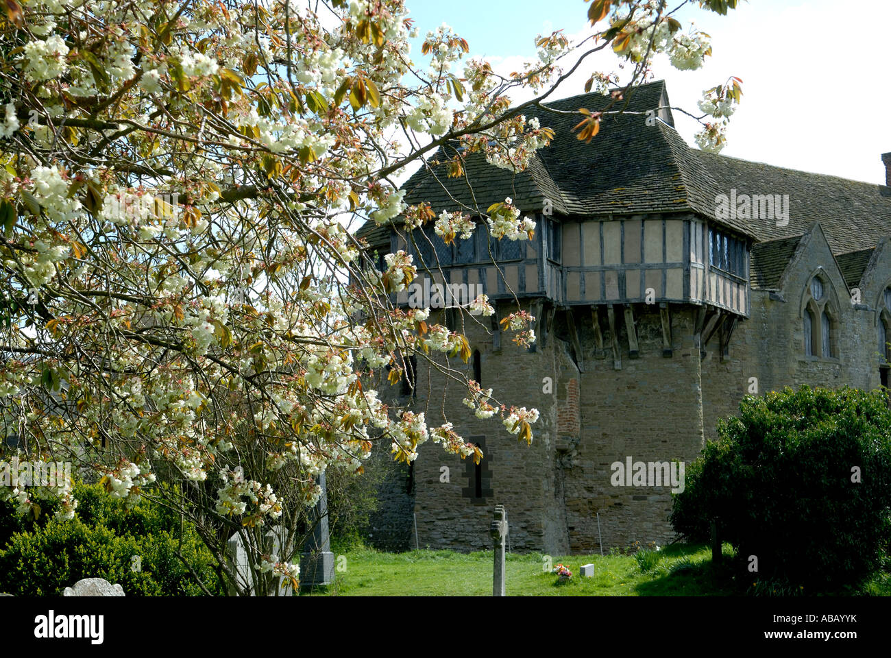 Spring blossom at Stokesay Castle Shropshire, UK Stock Photo - Alamy