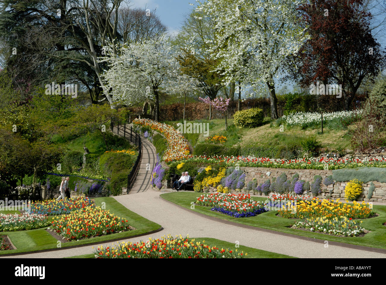 Spring flowers in the Dingle garden Shrewsbury Shropshire England UK ...
