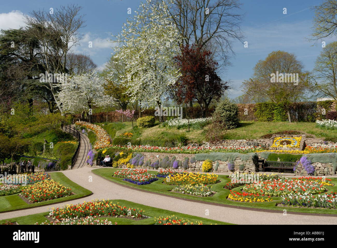 Spring flowers in the Dingle garden Shrewsbury Shropshire England UK ...