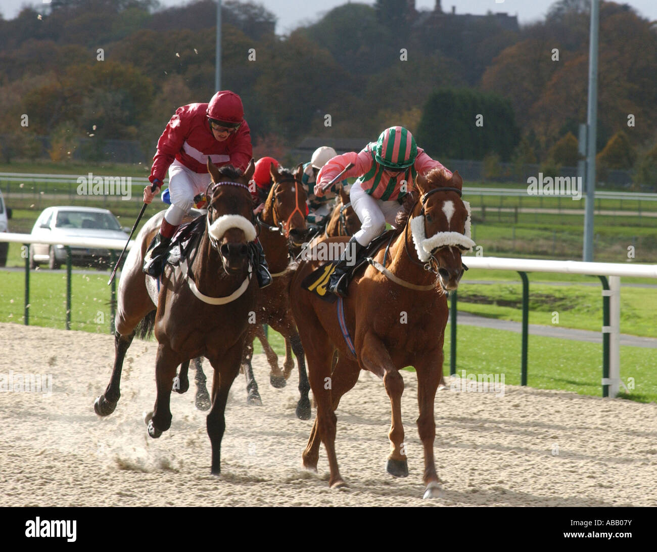 All weather horse racing hi-res stock photography and images - Alamy