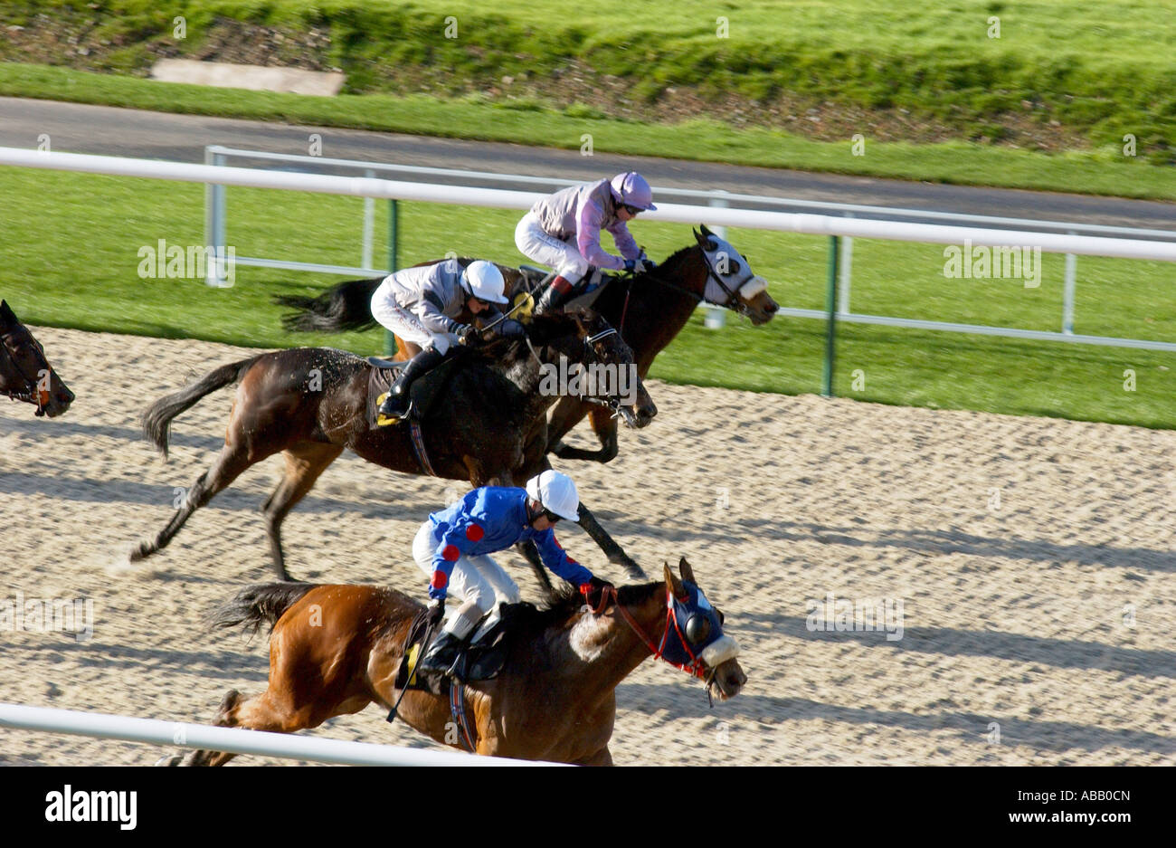 Horse racing on all weather track at Wolverhampton racecourse West ...