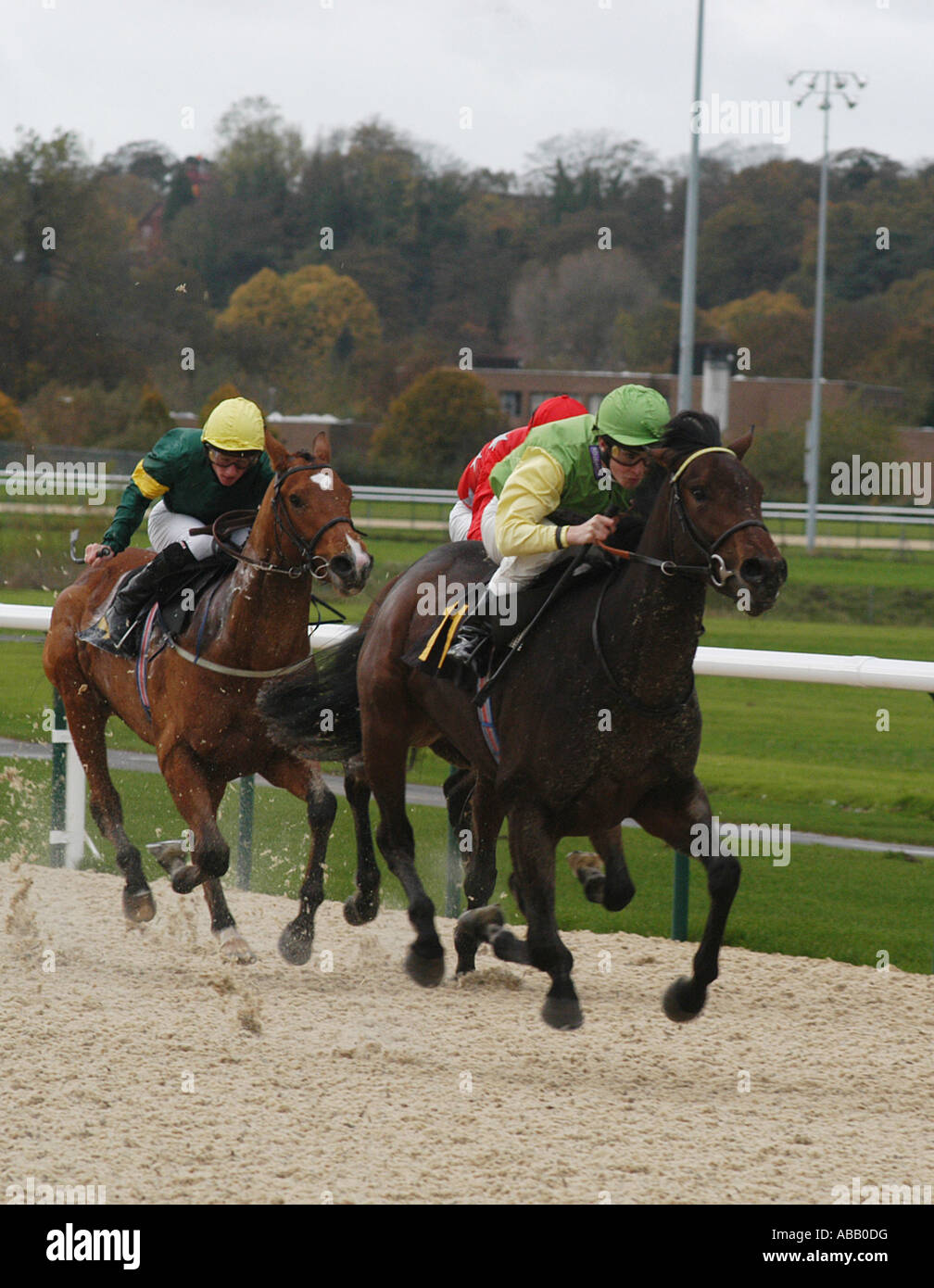 Wolverhampton racecourse hi-res stock photography and images - Alamy