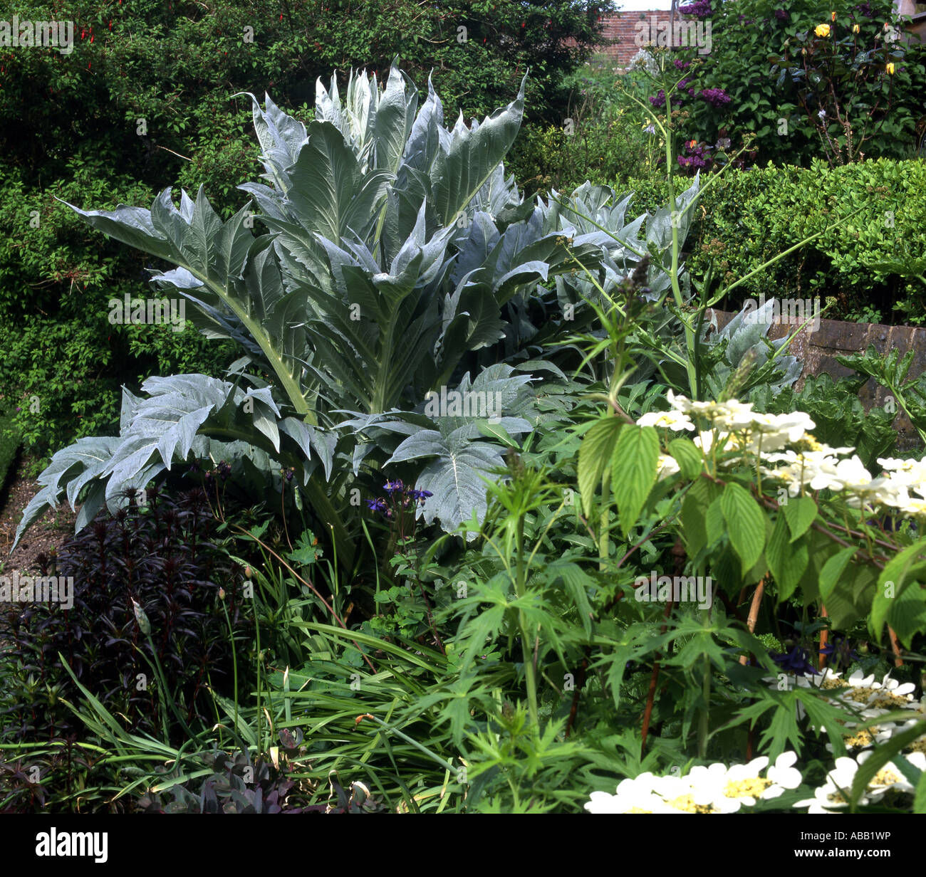 Architectural border hi-res stock photography and images - Alamy