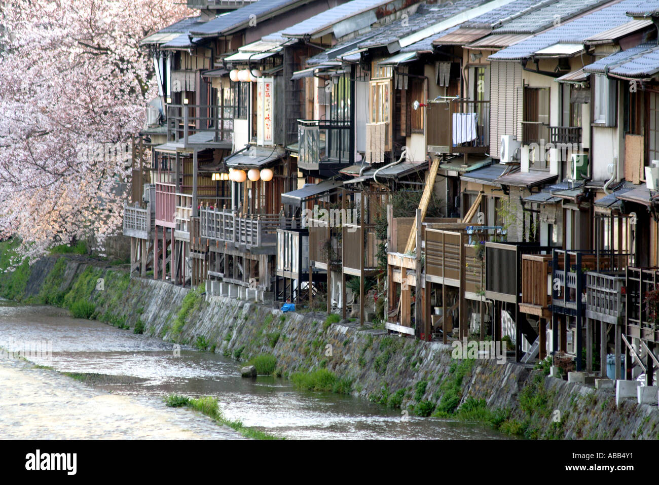 Waterfront Buildings in Pontocho along the Kamogawa or Kamo River ...
