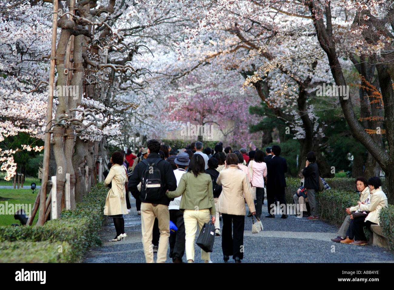Nijo castle inside hi-res stock photography and images - Alamy