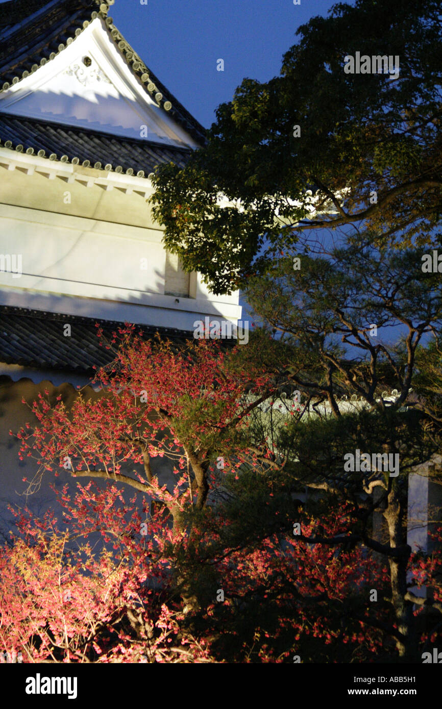 Nijo Castle at Sunset During Cherry Blossom Season, Kyoto, Japan Stock ...