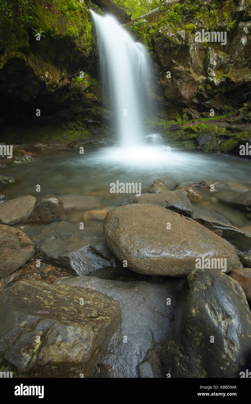 Deep woods spray hi-res stock photography and images - Alamy