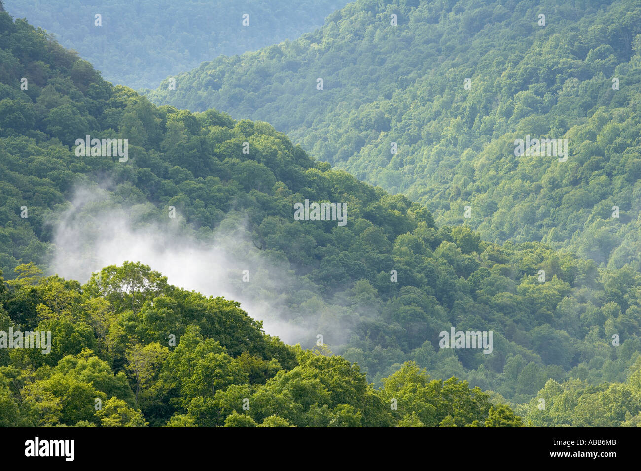 Fog rising from forest in valley below Werner Point Fiery Gizzard South ...