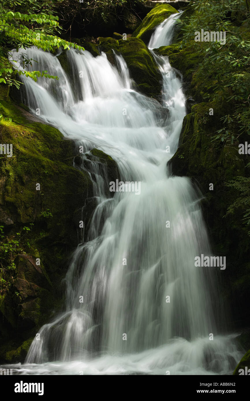 Mouse creek falls waterfall cascade hi-res stock photography and images ...