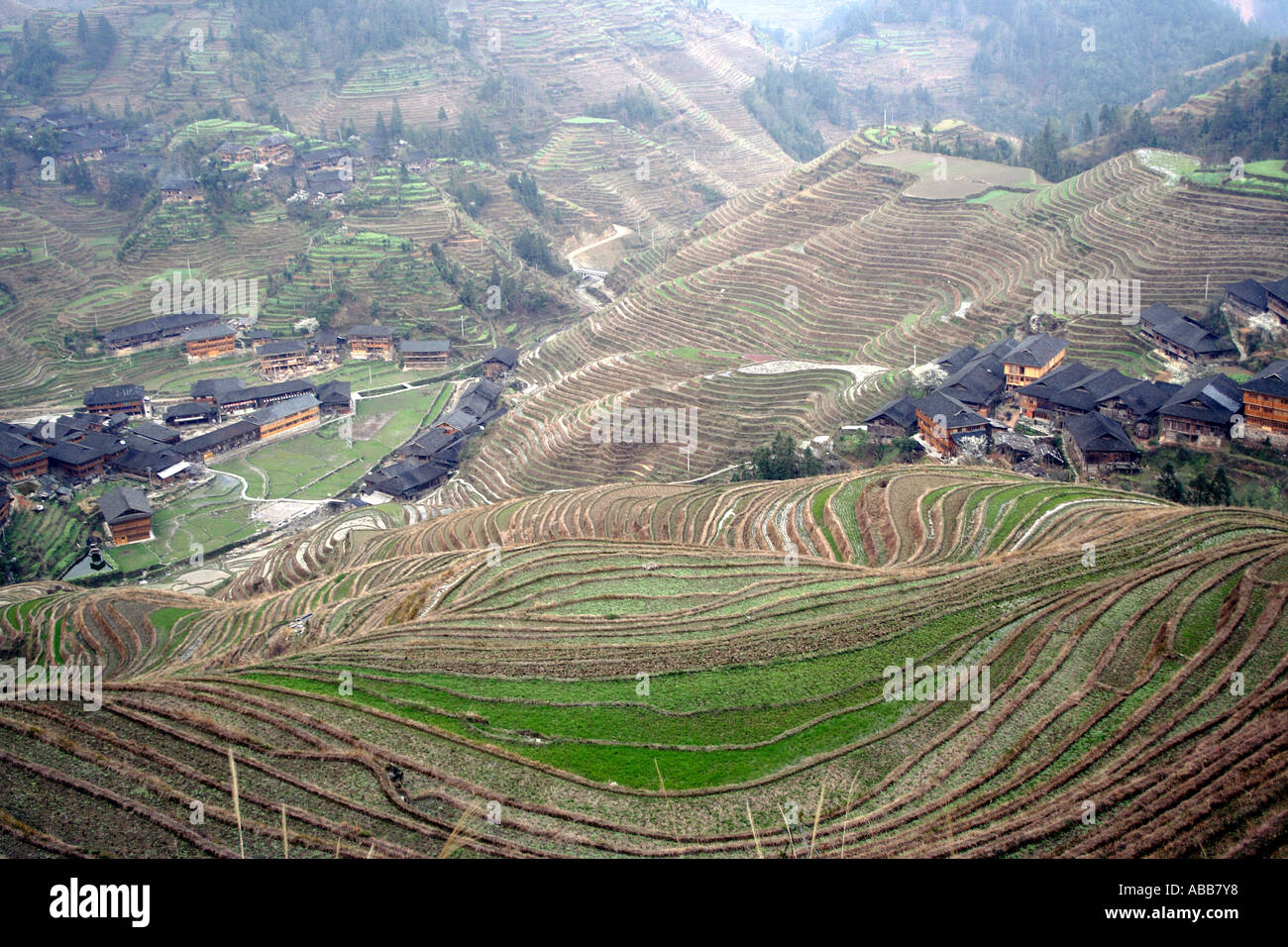 Longsheng, Dazhai Village, Terraced Rice Fields, Traditional Yao Houses ...