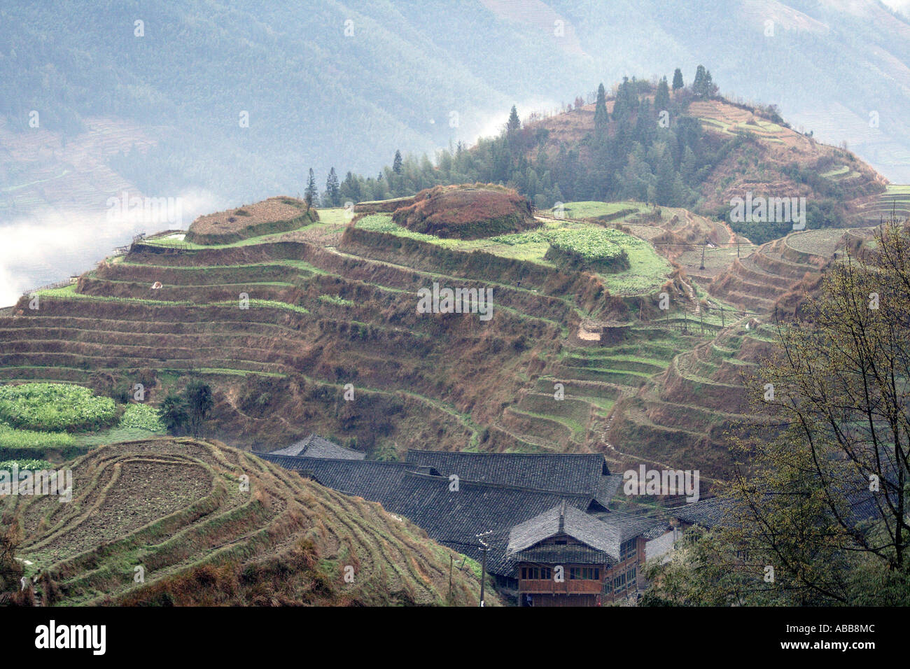 Longsheng, Chinese Terraced Rice Fields and Traditional Houses of ...