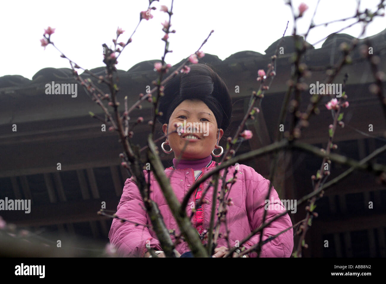 Longsheng, Chinese Terraced Rice Fields and Traditional Houses of ...