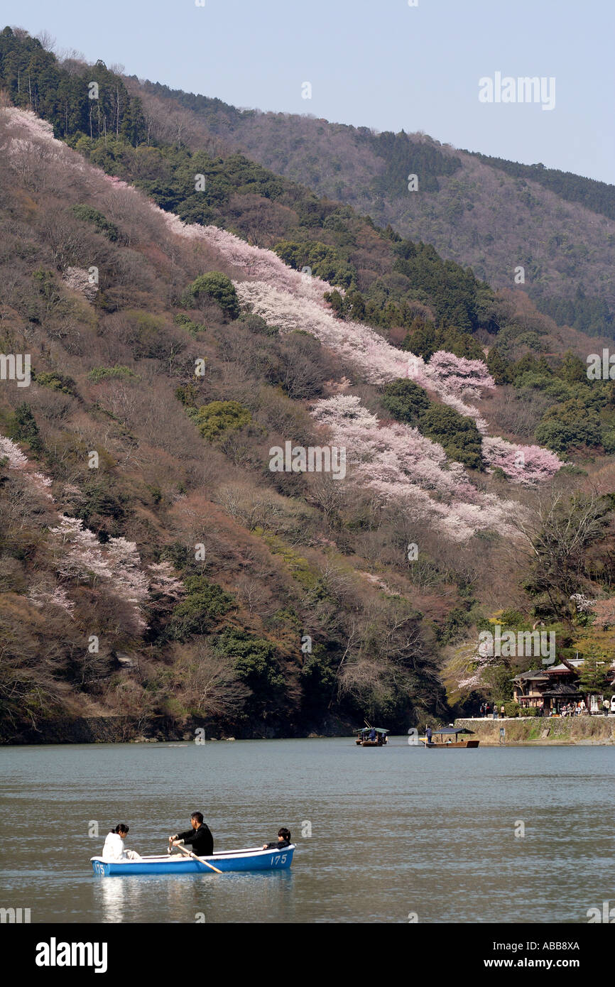 Kyoto, Japan, A Rowboat in Arashiyama During Cherry Blossom Festival ...