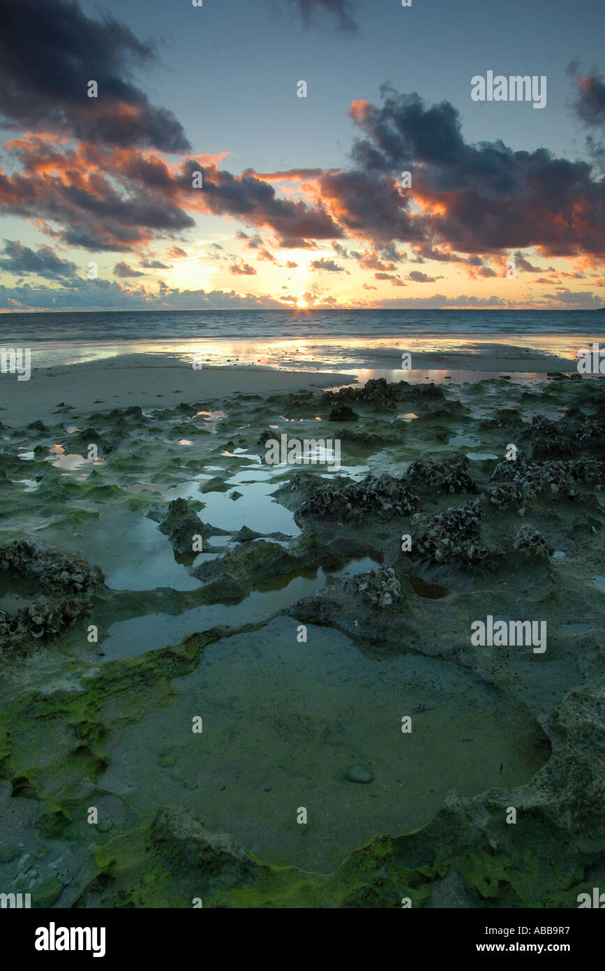 Ningaloo reef beaches hi-res stock photography and images - Alamy