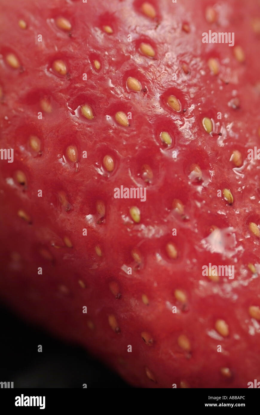 Strawberry, Close Up Stock Photo - Alamy